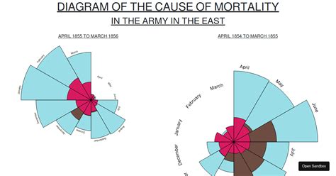 Rose Chart Codesandbox