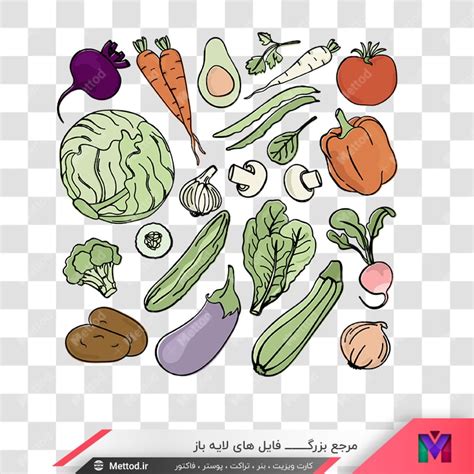 وکتور صیفیجات طرح 1117 متد گرافیک