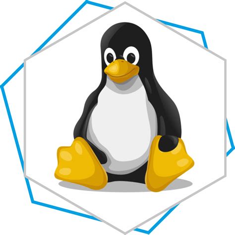 Best Kali Linux Essential Training Course Learn Linux Os Commands And More
