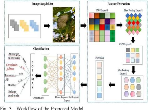 Figure 3 From Early Disease Classification Of Mango Leaves Using Neural