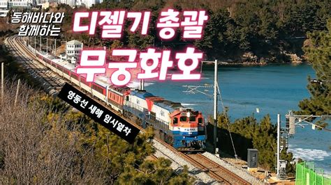 새해 첫날부터 1 1 디젤기관차 총괄견인 무궁화호 임시열차 해돋이관광 Youtube
