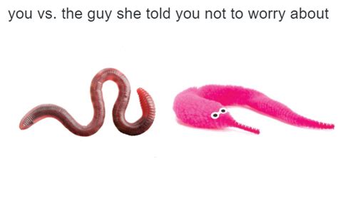 Worm Dance Memes
