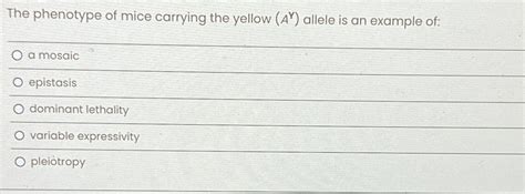 Solved The phenotype of mice carrying the yellow (A⋎) | Chegg.com