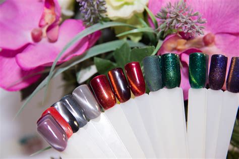 네일 케어와 매니큐어 개념입니다 고객의 손톱에 대 한 여러 가지 빛깔의 매니큐어 팔레트 Choise 뷰티 살롱에서 여자입니다 텍스트에 대 한 Copyspace 0명에 대한