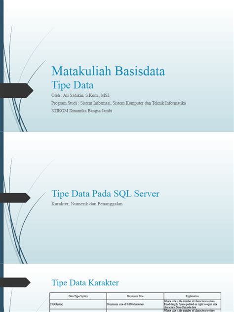 tipe data sql server pdf integer computer science decimal
