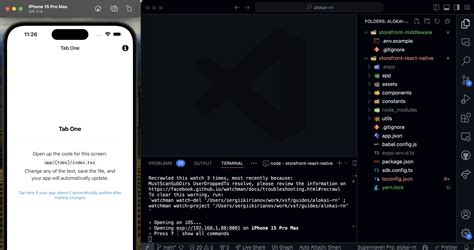 Create Alokai Project Alokai