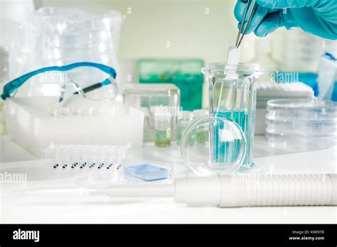 Staining Tissue Histology Lab Hi Res Stock Photography And Images Alamy