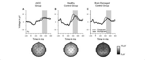 Stimulus Locked Erp Data Grand Average Waveforms For Correct