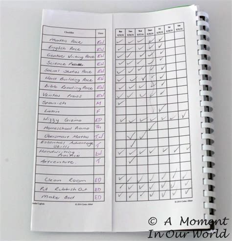 Review My Babe Logbook Simple Living Creative Learning