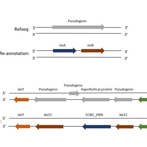 FigureS1 Pairwise Alignment And Visualization Figures Download Scientific Diagram