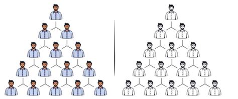Premium Vector Organisation Hierarchy Structure Vector