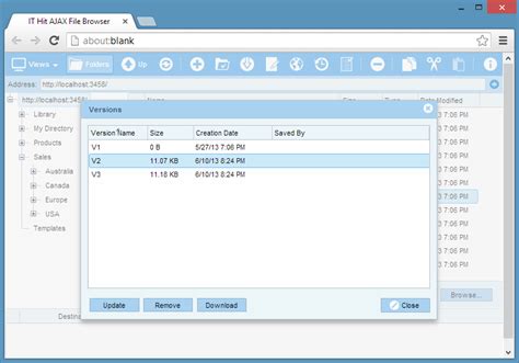 Webdav Server With Versioning Example Java
