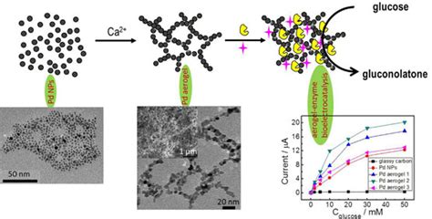 Controlling The Growth Of Palladium Aerogels With High Performance Toward Bioelectrocatalytic