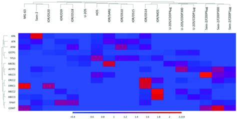 Heatmap Plus Hierarchical Clustering Analysis Of 12 Drug Sensitive And