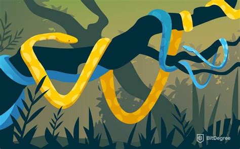 Лучший Python Самоучитель Способ Изучения Python за 8 Шагов