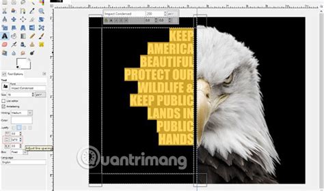 How To Create A Poster With The Text Portrait Effect In Gimp