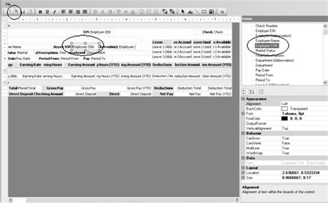 Check Stub Designer Payroll