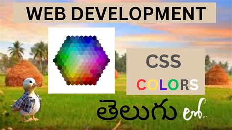 Web Development Css Colors Detail Explanation In Telugu Lesson 3