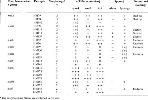 Phenotypes Of Mutants Assigned To Complementation Groups Download Table