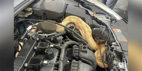 Check Engine Light Leads Mechanics To A Jaw Dropping Discovery The Dodo