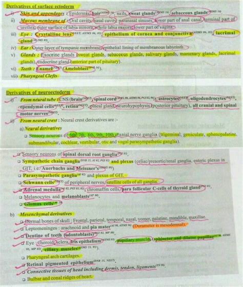 Derivatives Of Ectoderm Note Corneal Stroma Is From Neural Crest And Not From Mesoderm