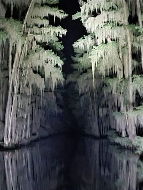 Pin By Libby On Hello Fall25 Southern Gothic Aesthetic Louisiana