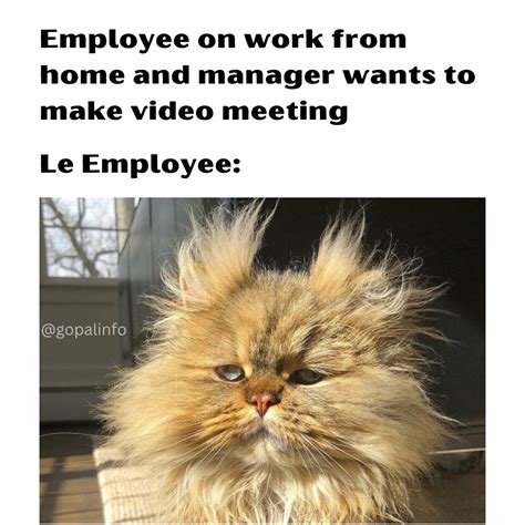 Gopal Info On Linkedin Messycat Funnyfriday T Wfh Workfromhome