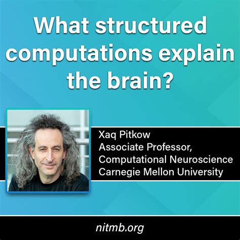 Nsf Simons National Institute For Theory And Mathematics In Biology On