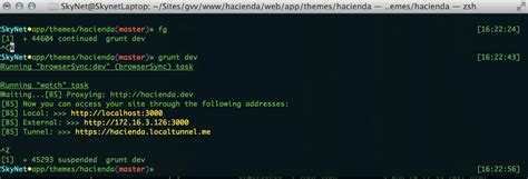 resuming paused process in terminal osx linux fabriceleven design blog