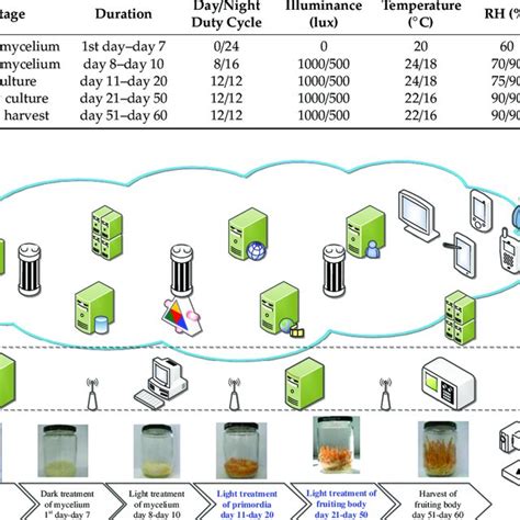 Cultivation Conditions For Whole Course Of Solid State Fermentation