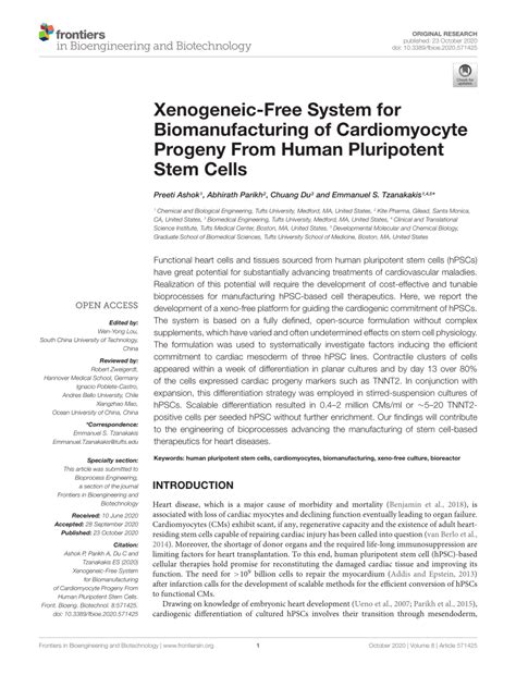 Pdf Xenogeneic Free System For Biomanufacturing Of Cardiomyocyte Progeny From Human