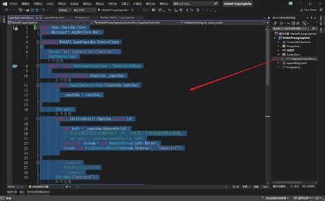 ASP NET 集成 LazyCaptcha v 图形验证码 lazyslidecaptcha CSDN博客
