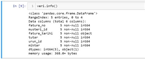 Python Kütüphanesi Pandas Geleceği Yazanlar