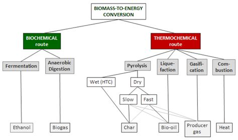 Two Major Pathways For Biomass To Energy Conversion Adapted From Basu Download Scientific