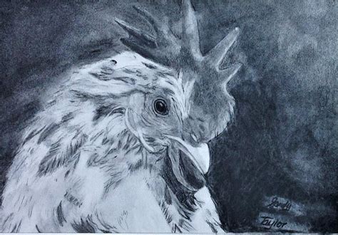 Cockrell By Artbysandy On Deviantart