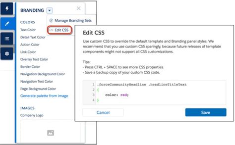 Password And Passwordless Policies For Salesforce Community Cloud By