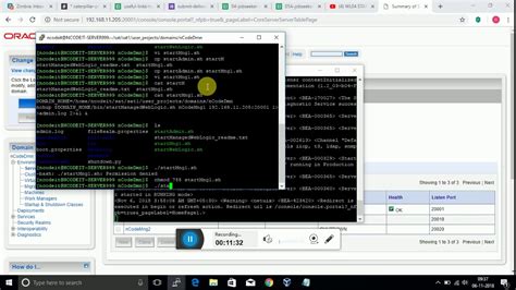 Wrapper Script Youtube