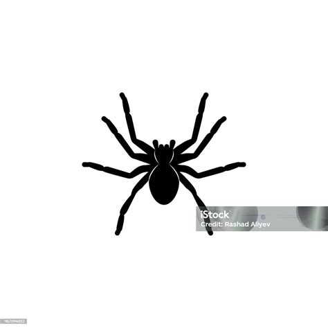 거미 독 거미 아이콘입니다 개념 및 웹 애플 리 케이 션에 대 한 곤충 아이콘의 세계의 요소 웹사이트 디자인 및 개발 응용 프로그램 개발에 대 한 그림 아이콘입니다 프리미엄