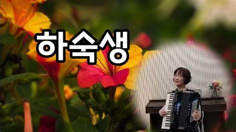 분당아코디언김영미 ㅡ하숙생 Youtube