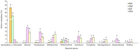 Fast Bacterial Succession Associated With The Decomposition Of Larix