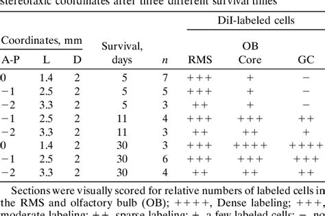 Table 1 From Network Of Tangential Pathways For Neuronal Migration In Adult Mammalian Brain