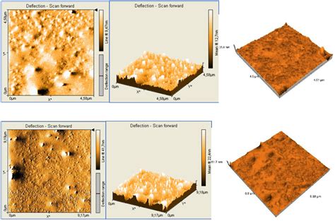 Contact Mode Afm Images 4 M 4 M And 9 M 9 M 2d Representation Of