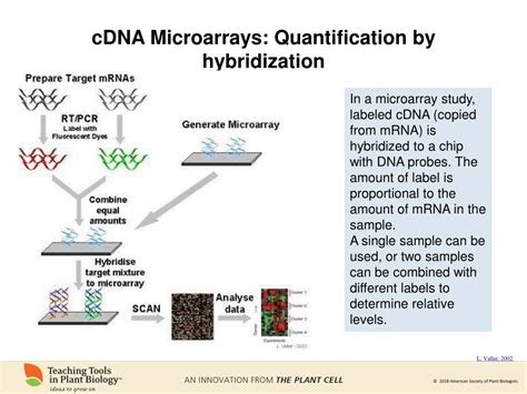 Ppt A Bioinformatics Pipeline To Explore Transcriptional Regulation