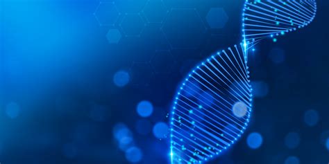 上海多宁生物科技股份有限公司