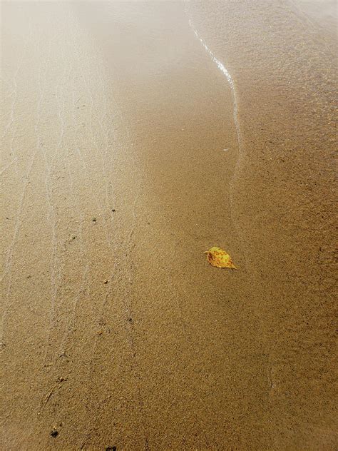 Alone Photograph By Hillary Raimo Fine Art America