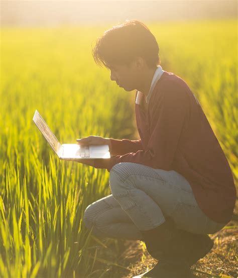 Inside Environmental Monitoring Labs Key Roles And Impact