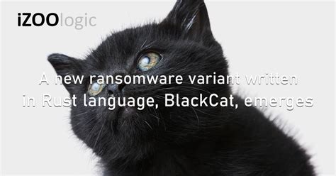 A New Ransomware Variant Written In Rust Language Blackcat Emerges