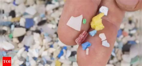 Why Tiny Plastic Particles Have Become A Big Health Concern India