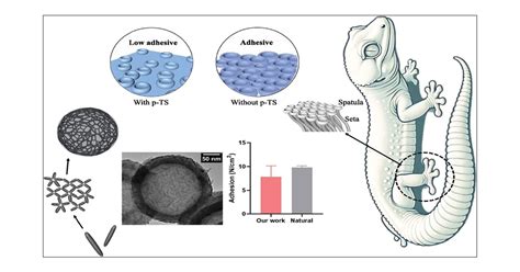 Controlled Synthesis Of Polyaniline Based Nanomaterials With Self Assembly And Interface