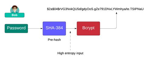 Bcrypt Hashes Using Net Enhanced Entropy